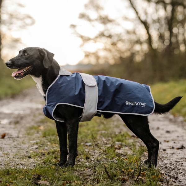 Reincoat Dog – DSE Equestrian Outfitters